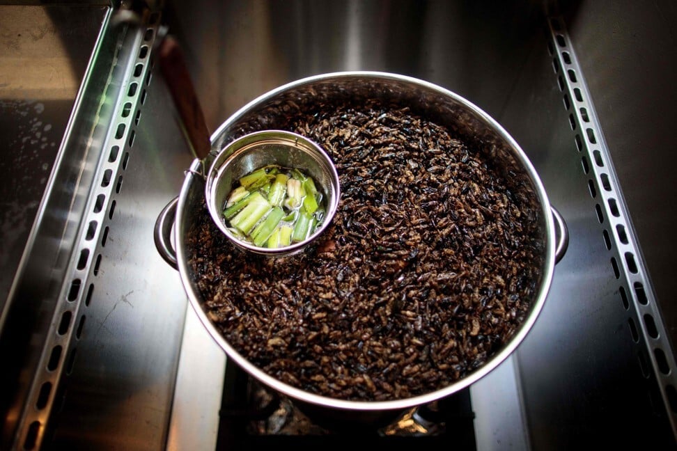 Japanese ramen with insects, from a chef who wants crickets ...
