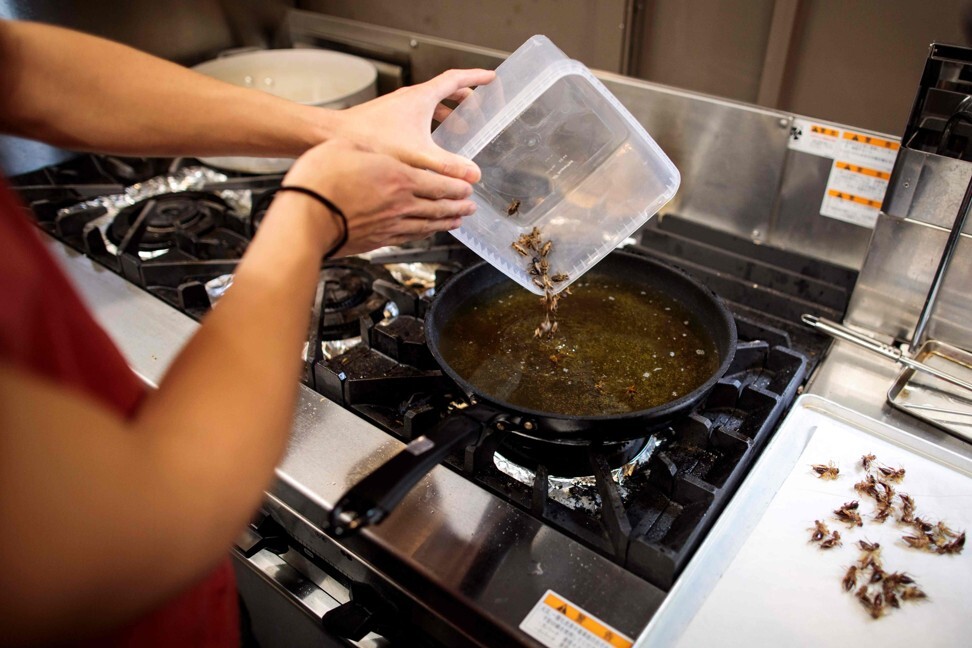 Japanese ramen with insects, from a chef who wants crickets ...