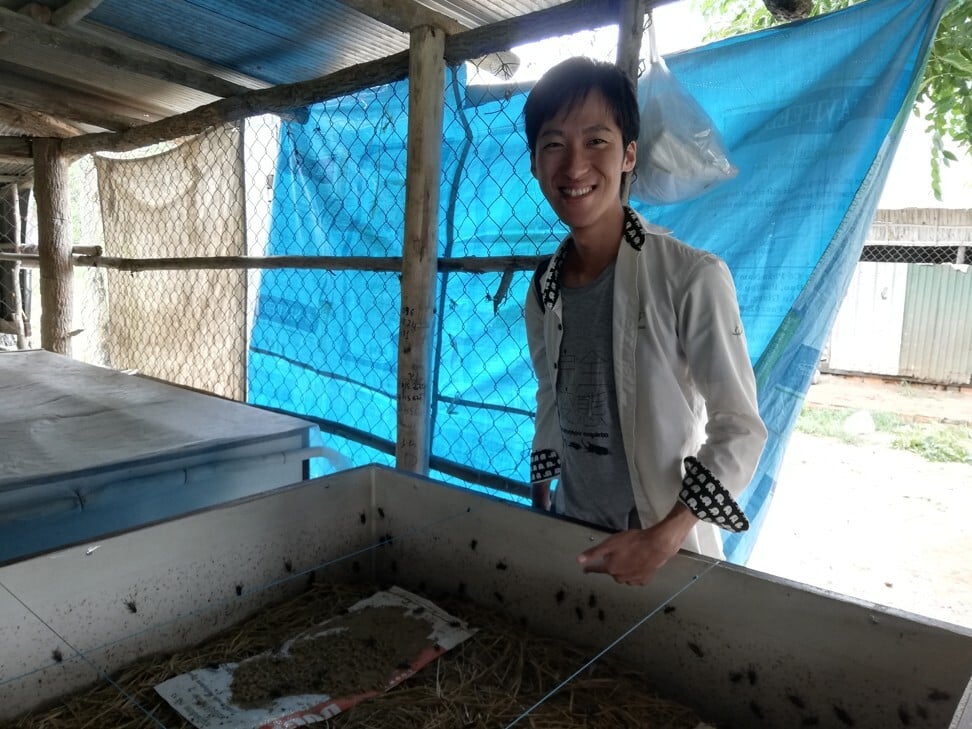 Agritourism: why farm stays and rural experiences are set to be the ...