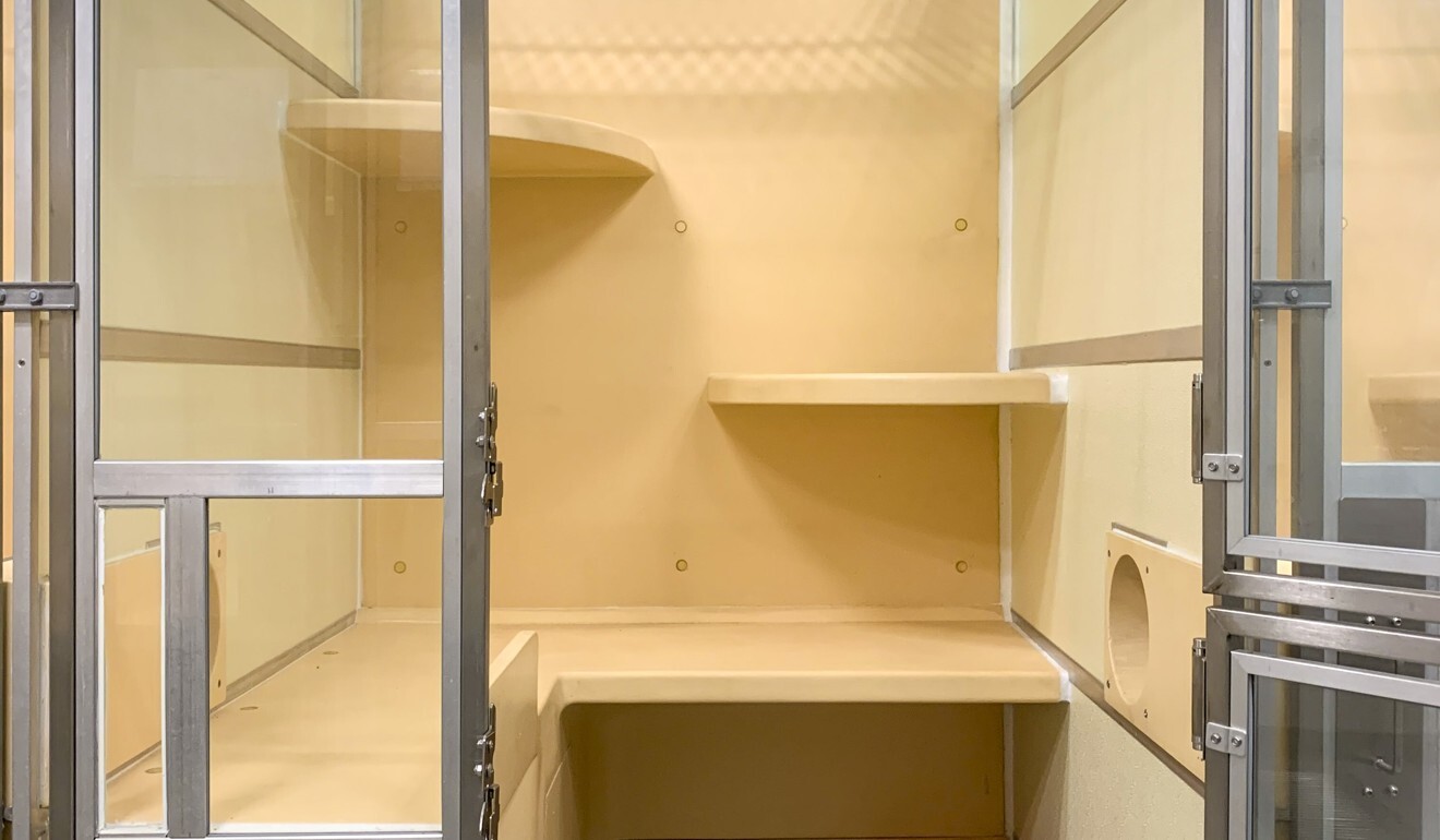 Coronavirus: latest Hong Kong pets to test positive for Covid-19 are ...