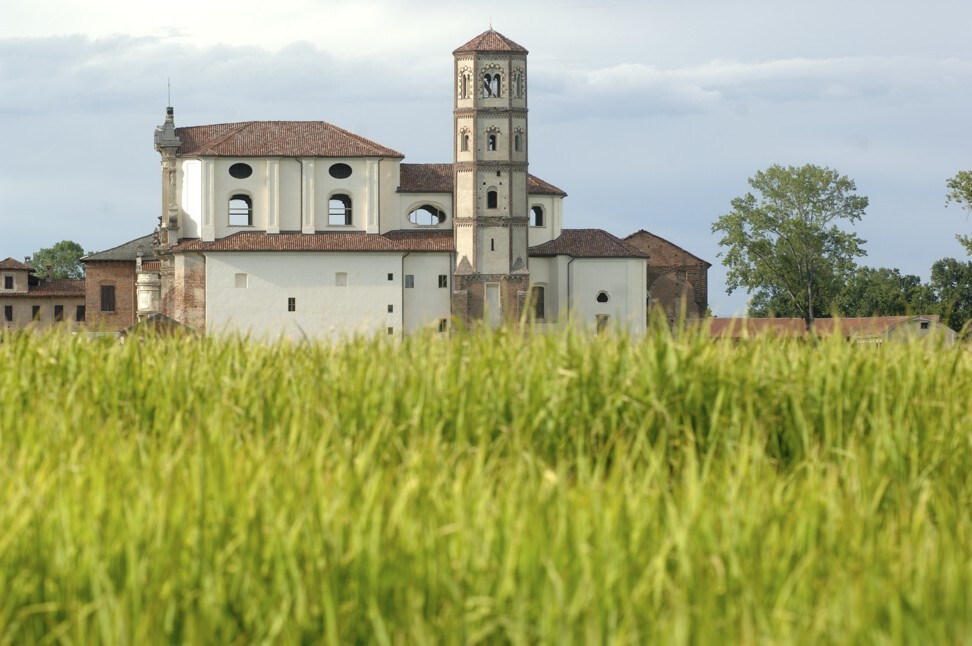 Secrets of the Italian rice used in risotto – and the rice paddies of ...
