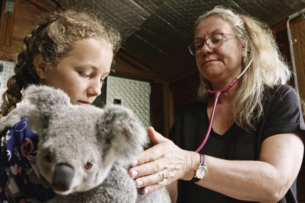 ‘Koala whisperer’ and Netflix star Izzy Bee, the 11-year-old who has a ...