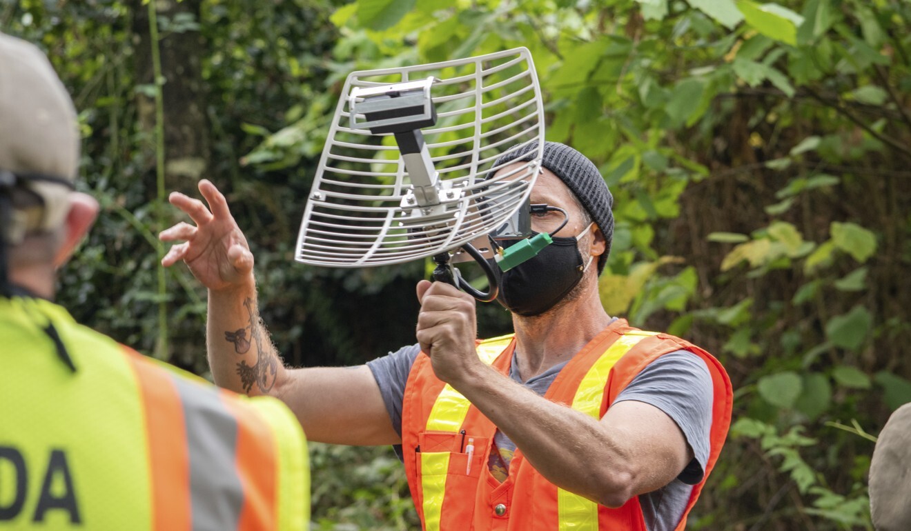 First US ‘murder hornet’ nest discovered in Washington state | South ...