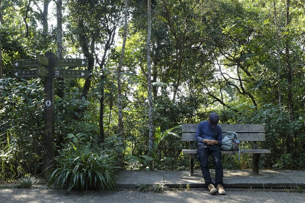 Lung Fu Shan, Hong Kong’s smallest country park, is right on the city’s ...