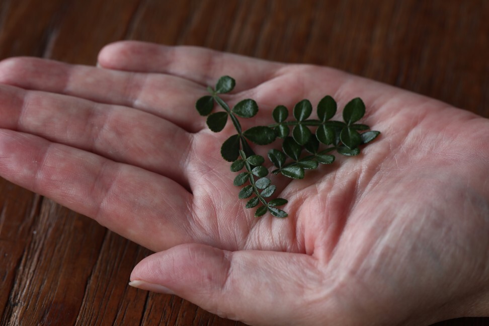 How to make chawanmushi – steamed savoury Japanese custard | South ...