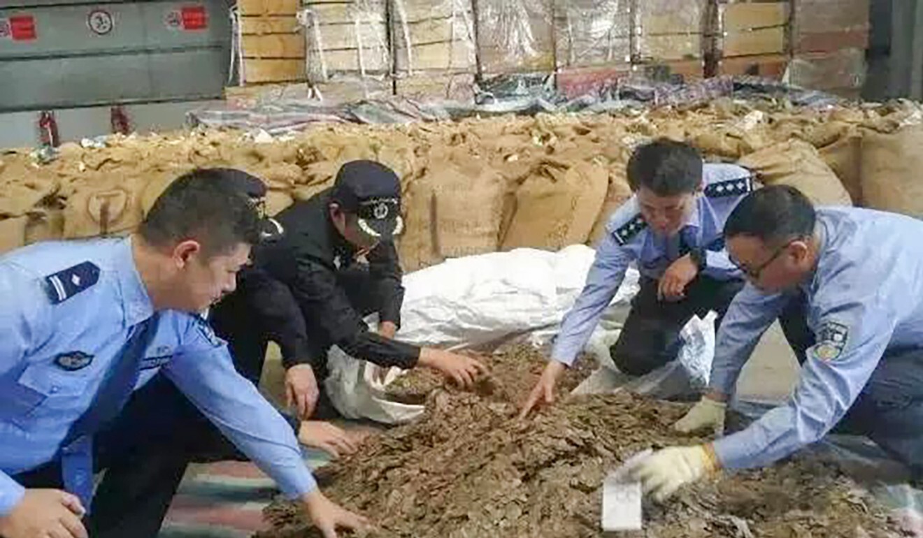 Chinese gang of pangolin smugglers jailed over US$17.6 million haul of ...