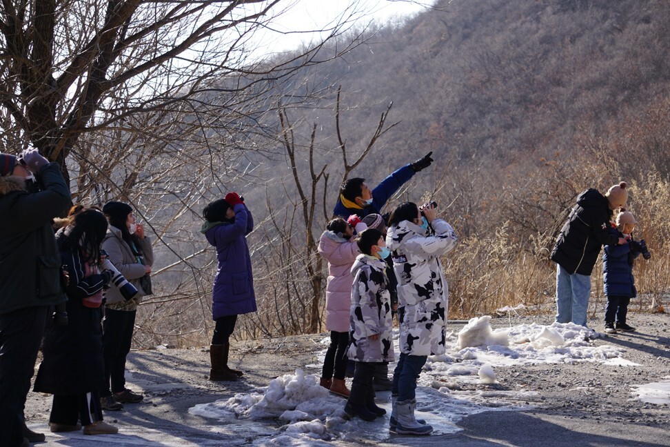 Birding is cool in China and the birds in Beijing are more varied than ...