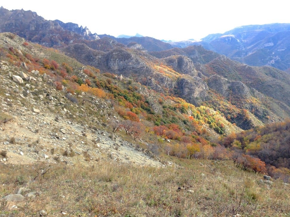 Birding is cool in China and the birds in Beijing are more varied than ...