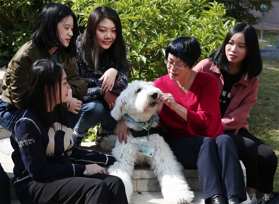 How therapy dogs help with learning disabilities, anxiety and other ...