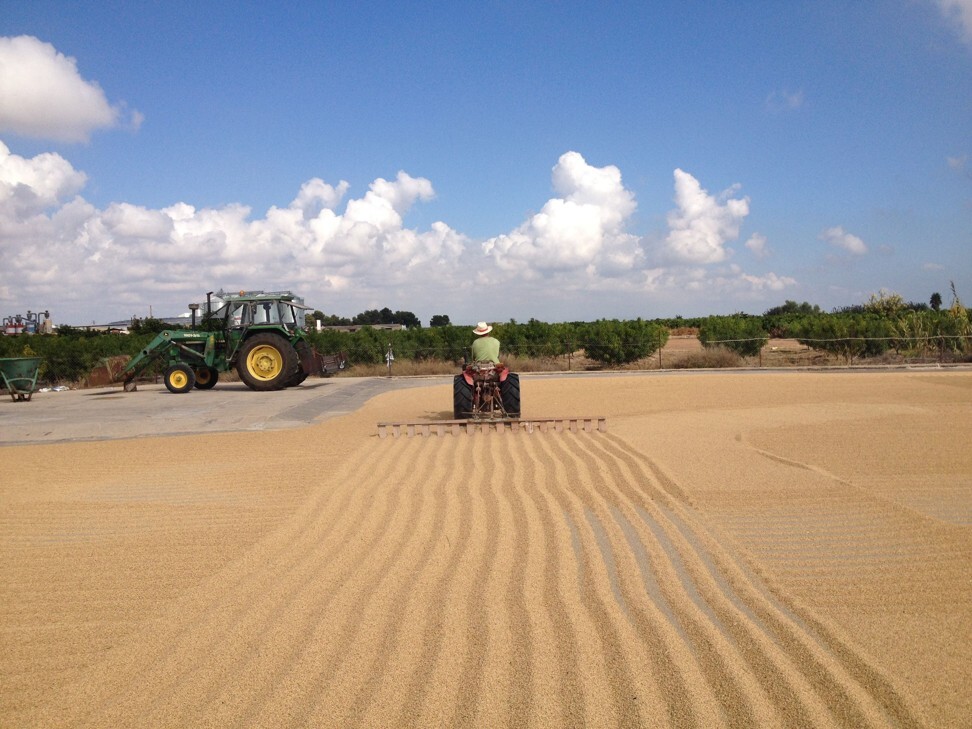 Spanish paella: from humble peasant meal to rice dish famous around the ...