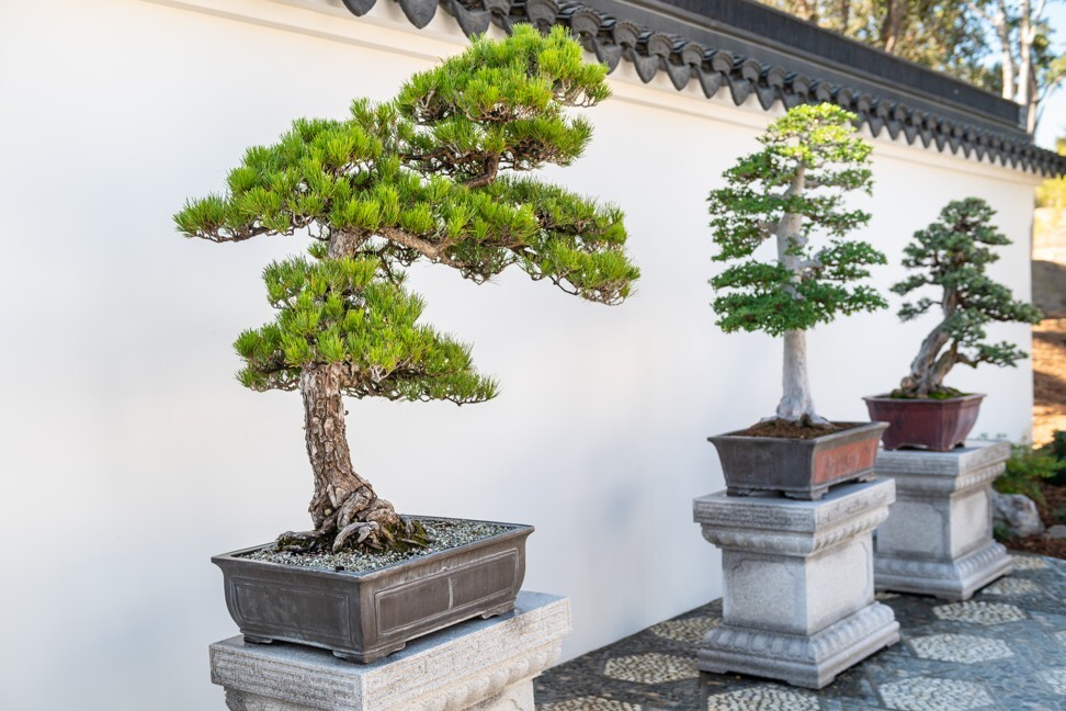 This Chinese garden is a masterpiece of traditional architecture, zen ...