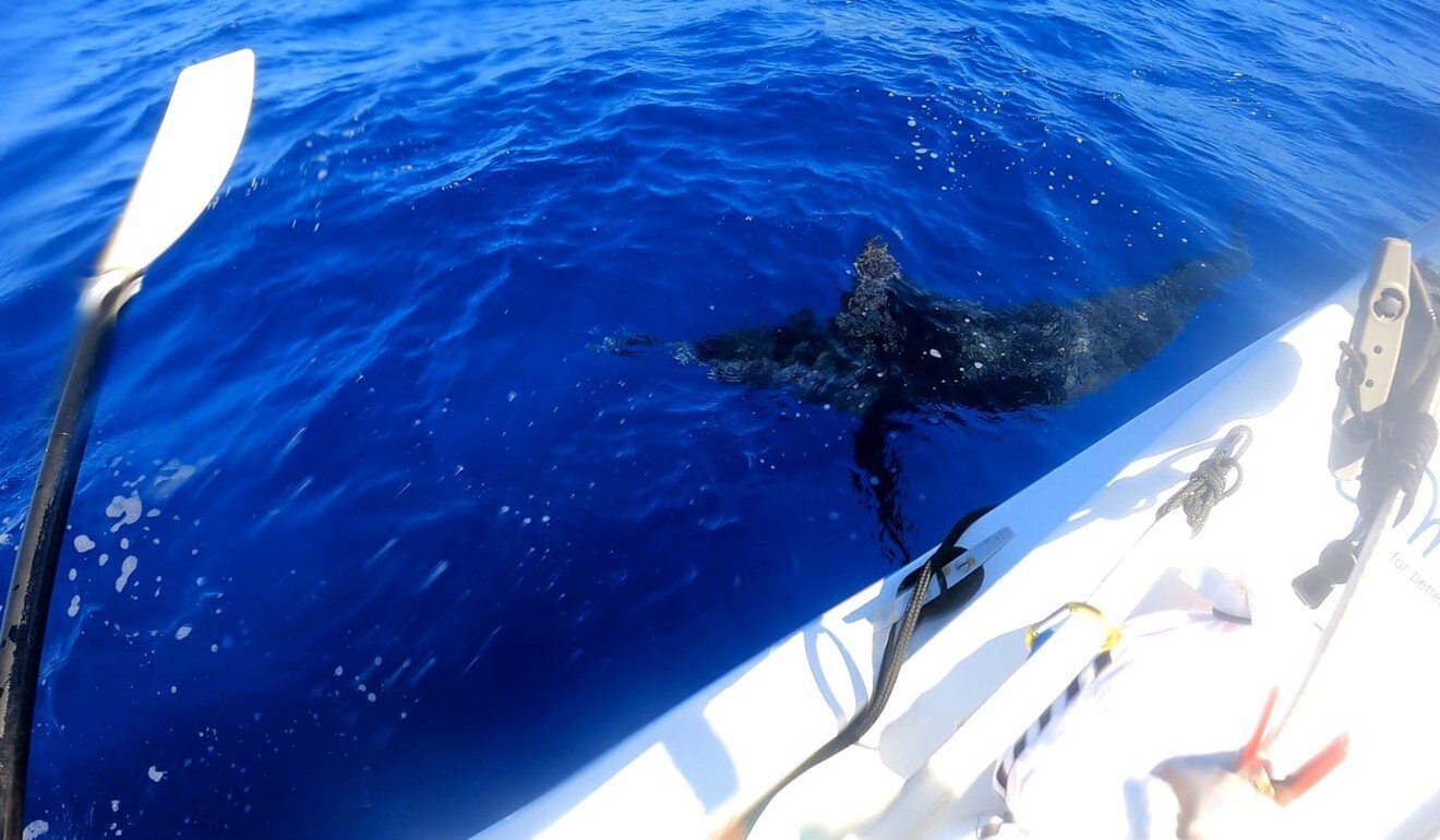 Atlantic rowers’ perfect secret mid-ocean engagement and keeping the ...