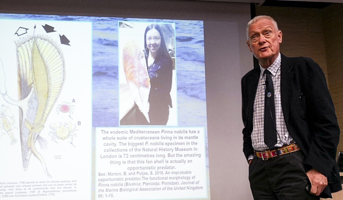 ‘Father of ocean conservation’ Brian Morton inspired many in Hong Kong ...