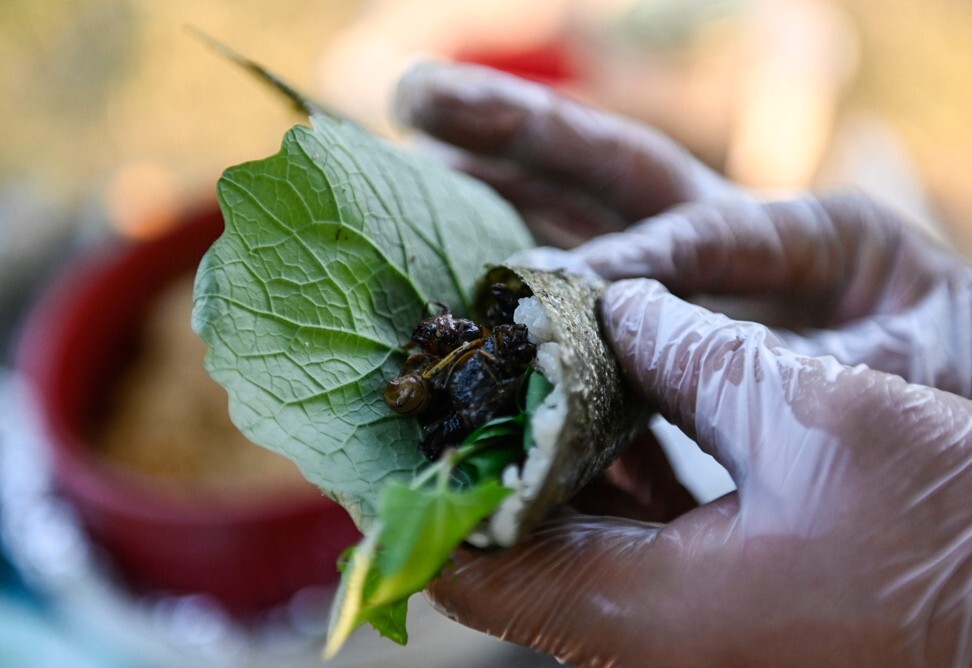 Eating bugs, anyone? With fried cicada sushi roll, Hong Kong-born chef ...