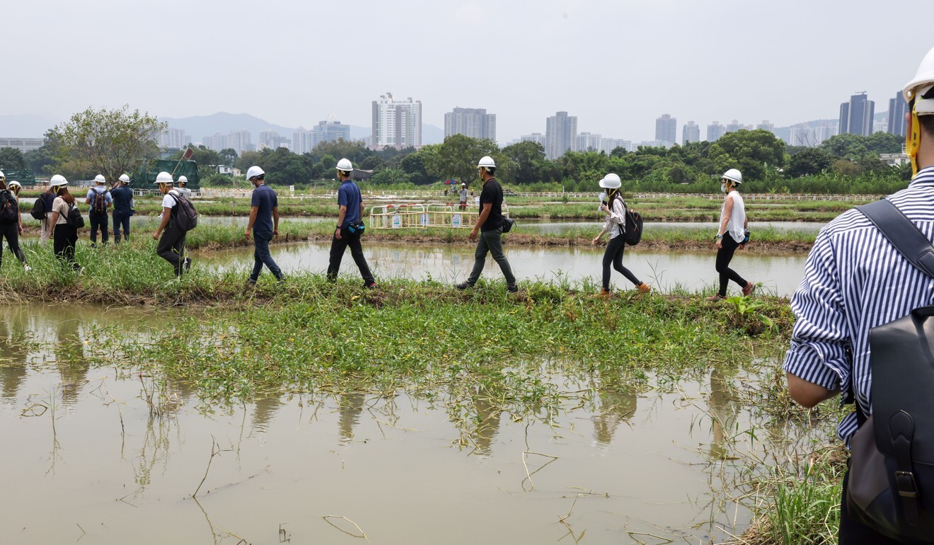 Hong Kong restores abandoned farmland for Long Valley Nature Park in ...