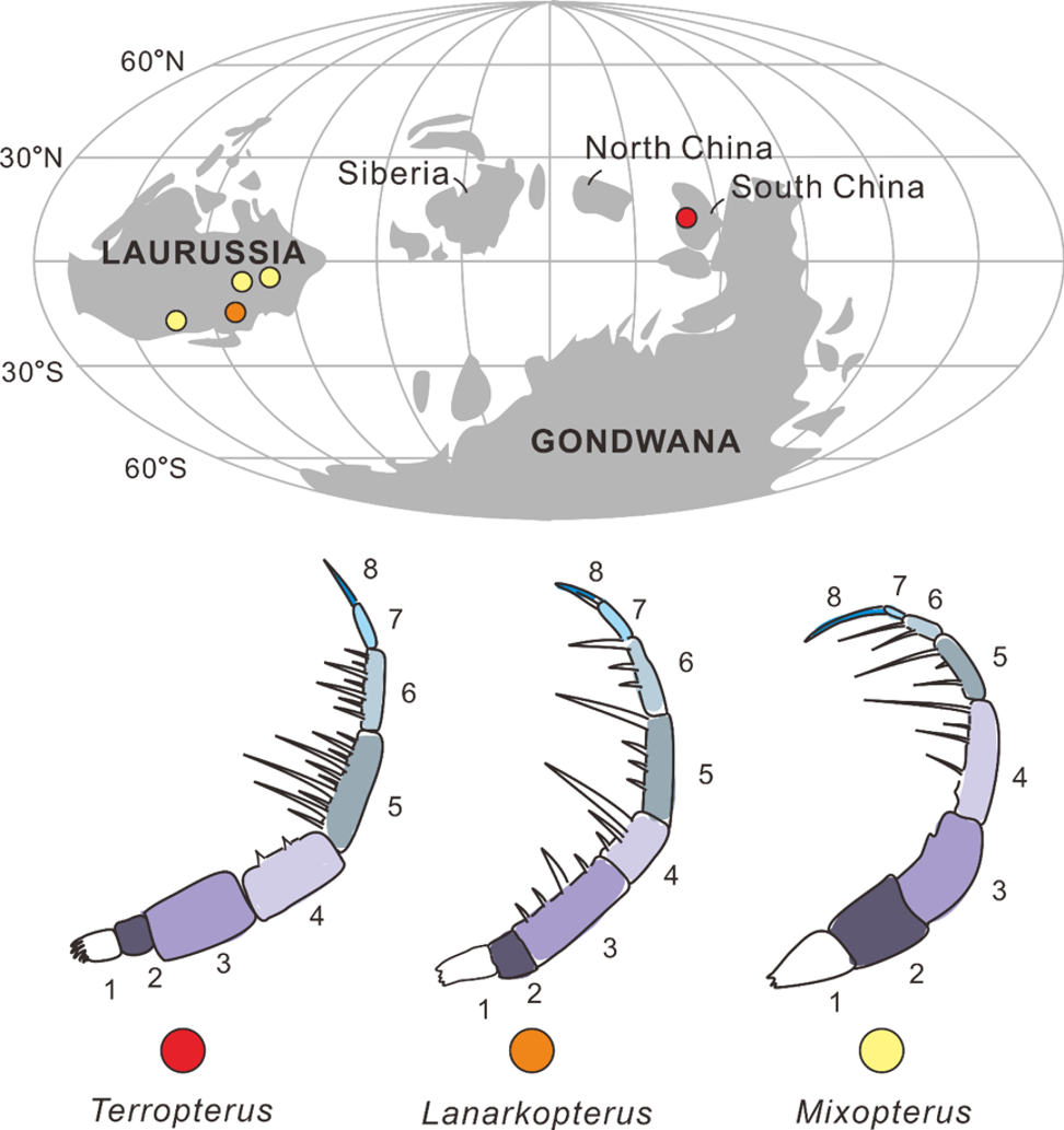 Chinese scientists unearth ancient underwater scorpion that was the ...