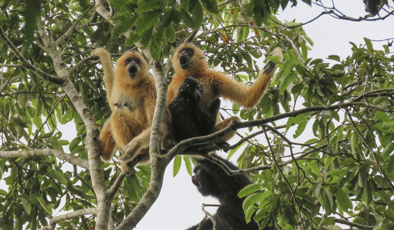 After Xi Jinping unveils China’s first 5 national parks, goals set for ...