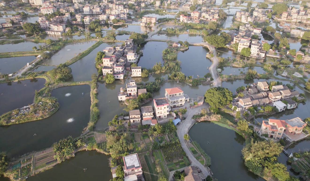 Why it’s time to get serious about restoring mainland China’s wetlands ...