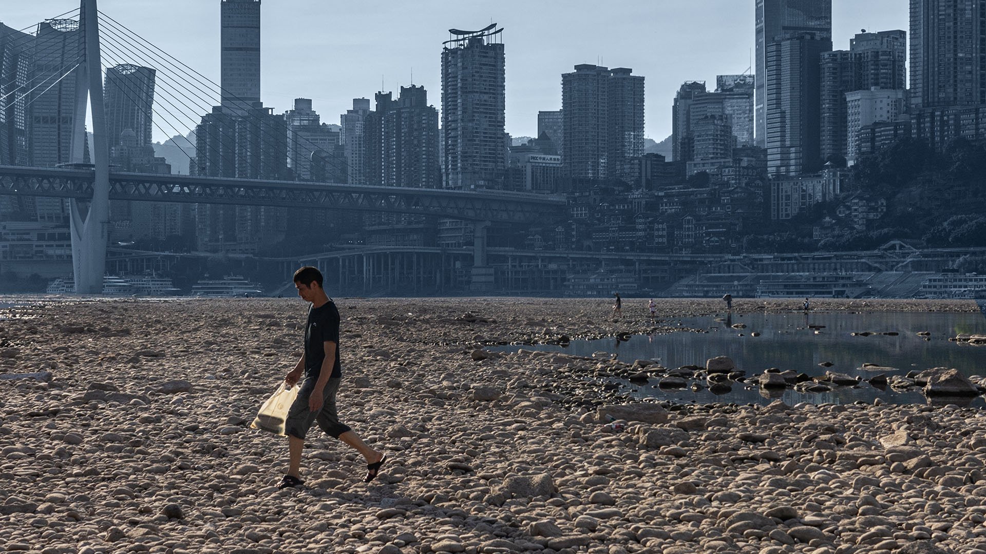 Climate change: China’s voluntary carbon market a step closer to ...