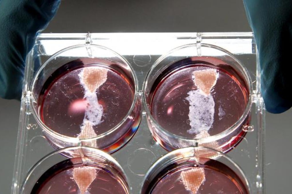 Lab-grown meat could prove a substitute for the real thing | South ...