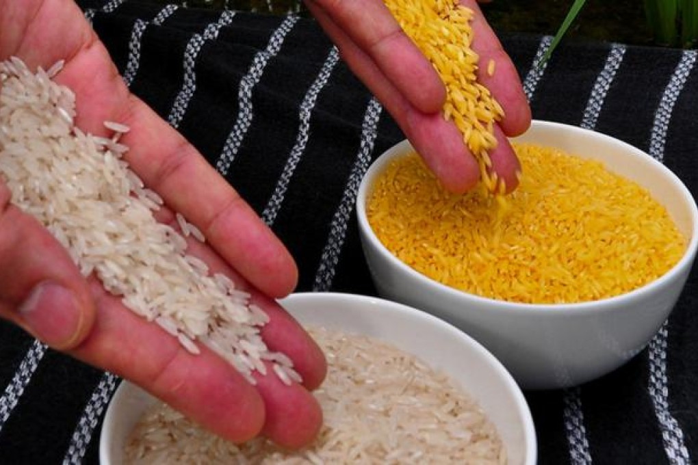 Golden rice can end world hunger | South China Morning Post