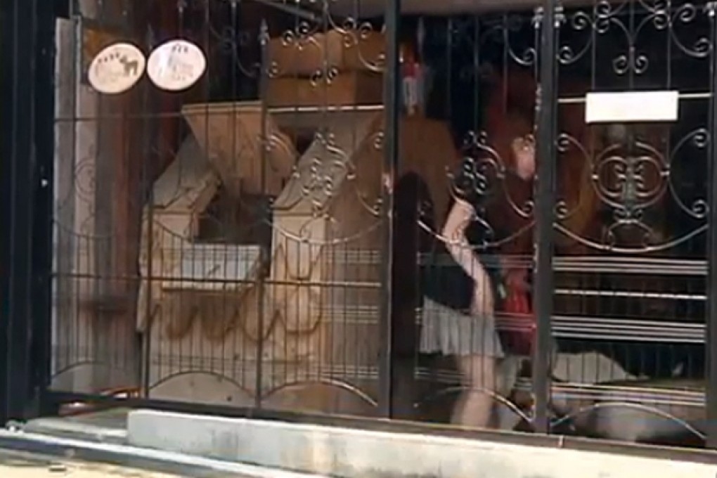 No kidding! Tokyo locals flock to goat cafe | South China Morning Post