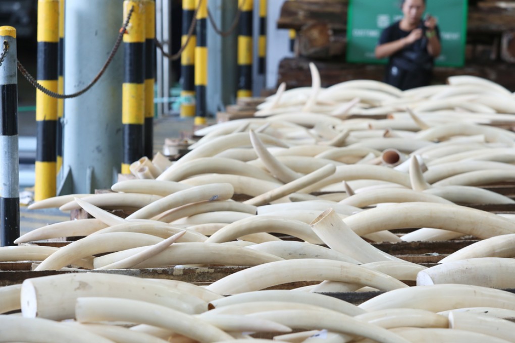 Hong Kong to burn first part of seized ivory stockpile in May ceremony ...