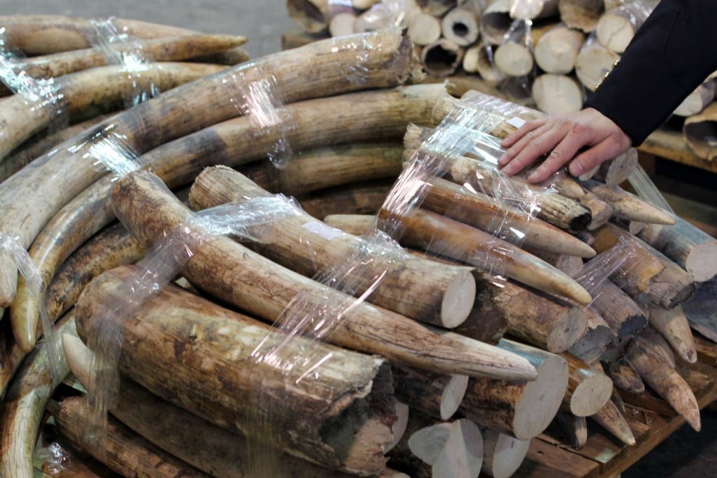 Retail giant Wing On lauded over move to ban ivory sales | South China ...
