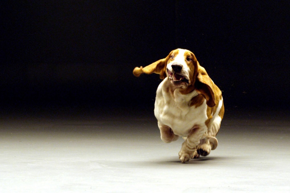 Channel hop | South China Morning Post