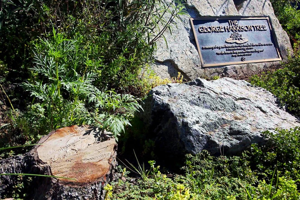 George Harrison memorial tree in Los Angeles killed by beetles | South ...