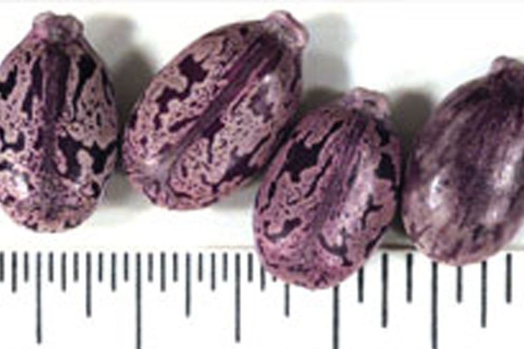 US health agency finds old ricin, other deadly pathogens in labs ...