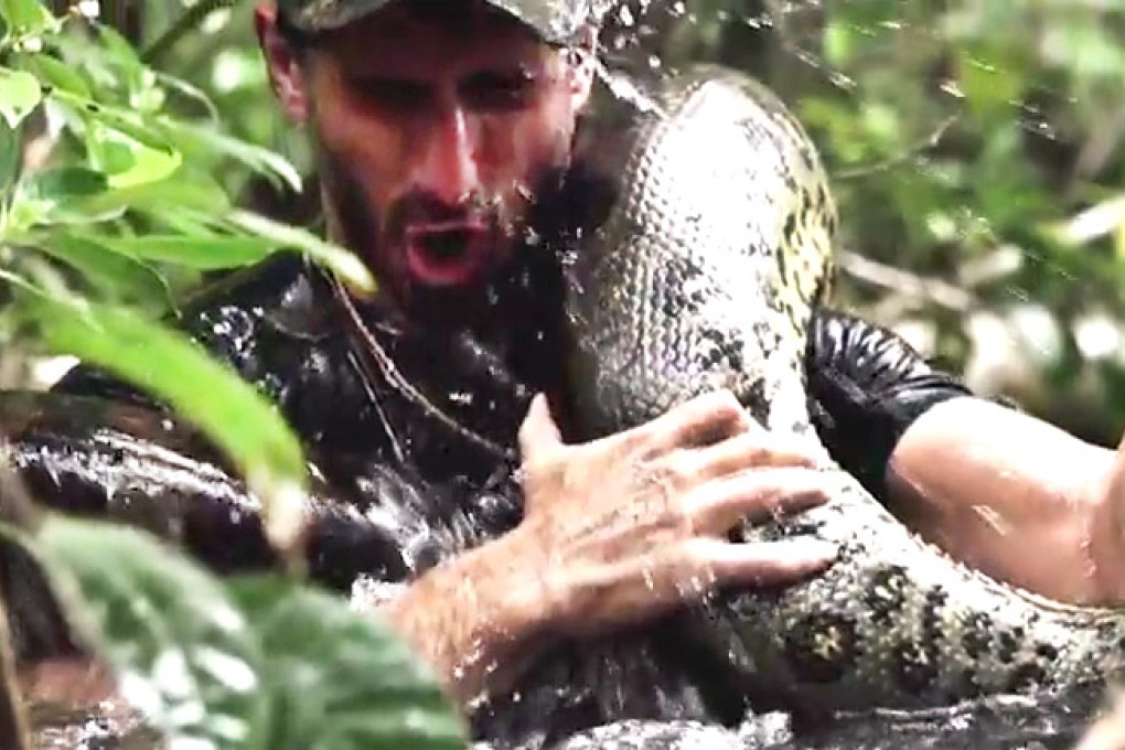 Eaten alive: Snake swallowing man stunt sparks fury over Discovery ...