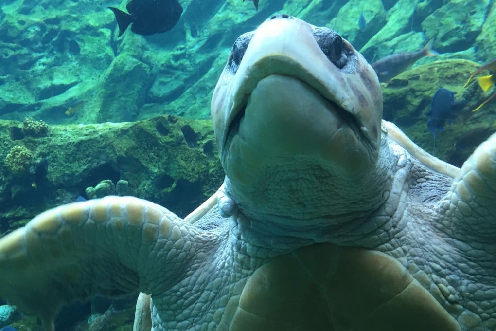 Short Science, January 18, 2015 | South China Morning Post