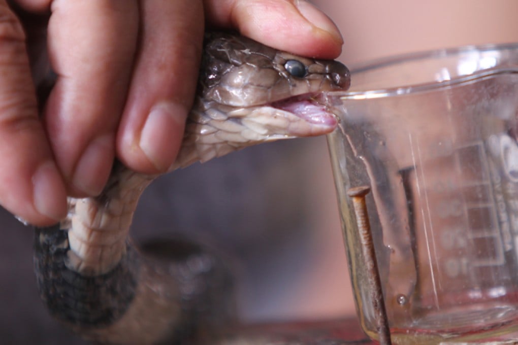 India arrests six suspected smugglers found with US$15m snake venom ...