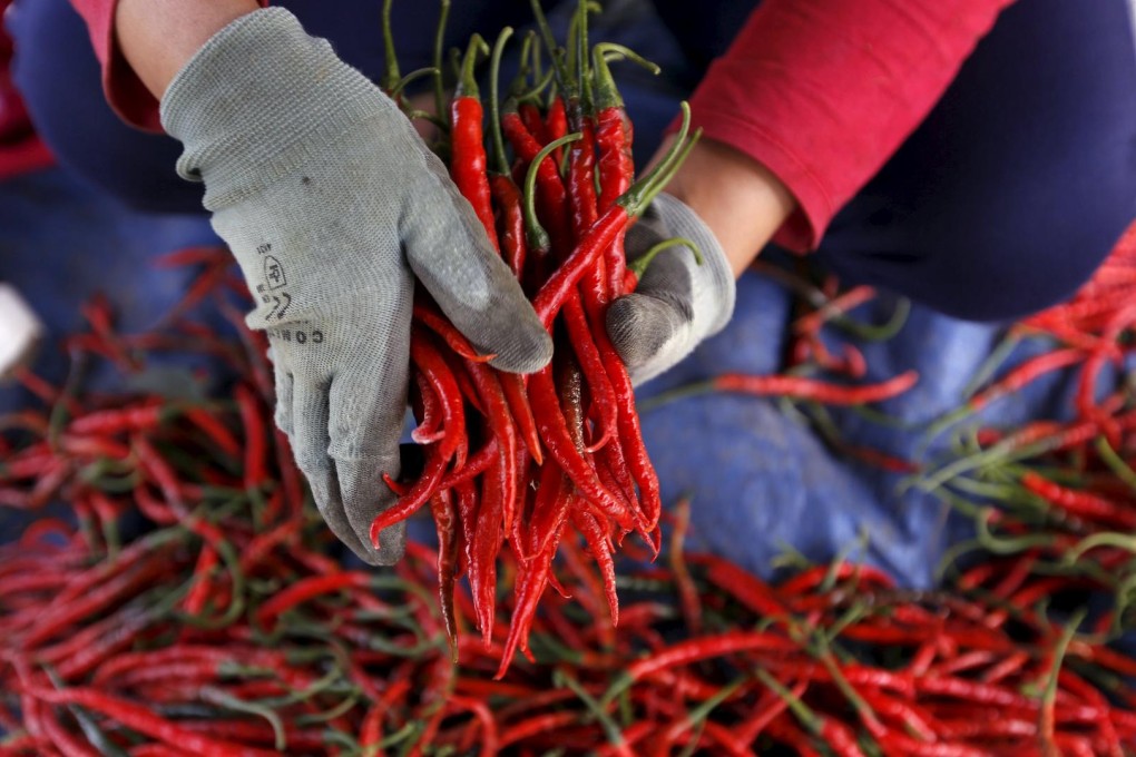 Chilli can kill cancer cells; bad sleepers at risk of heart disease ...