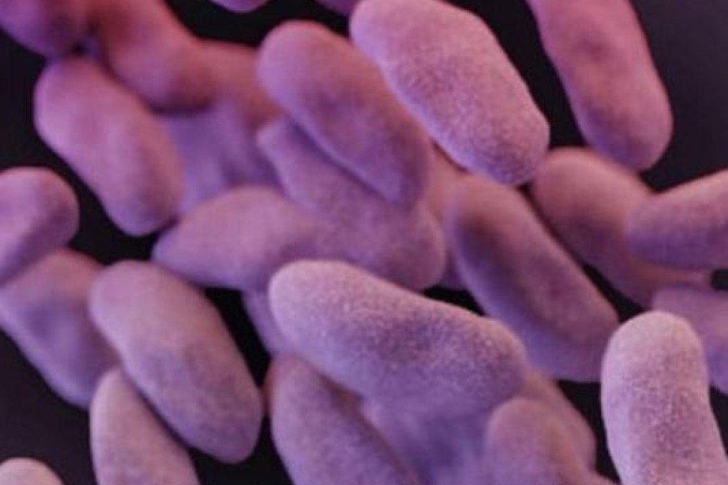 ‘The phantom menace’: New type of deadly superbug is on the rise, CDC ...