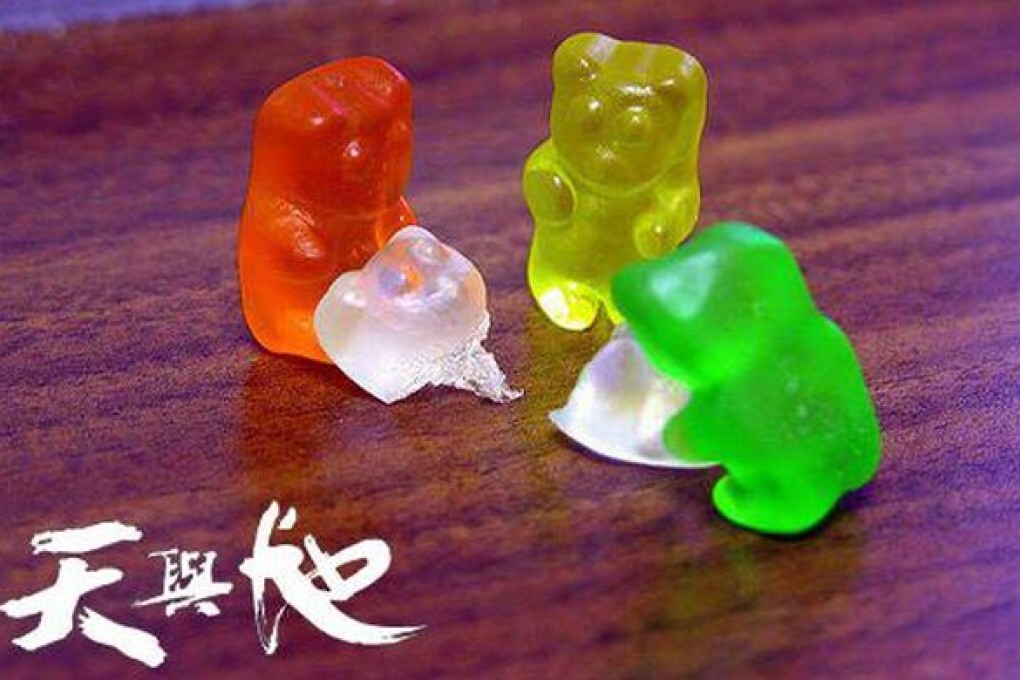 Local Blogger TV Pal | South China Morning Post