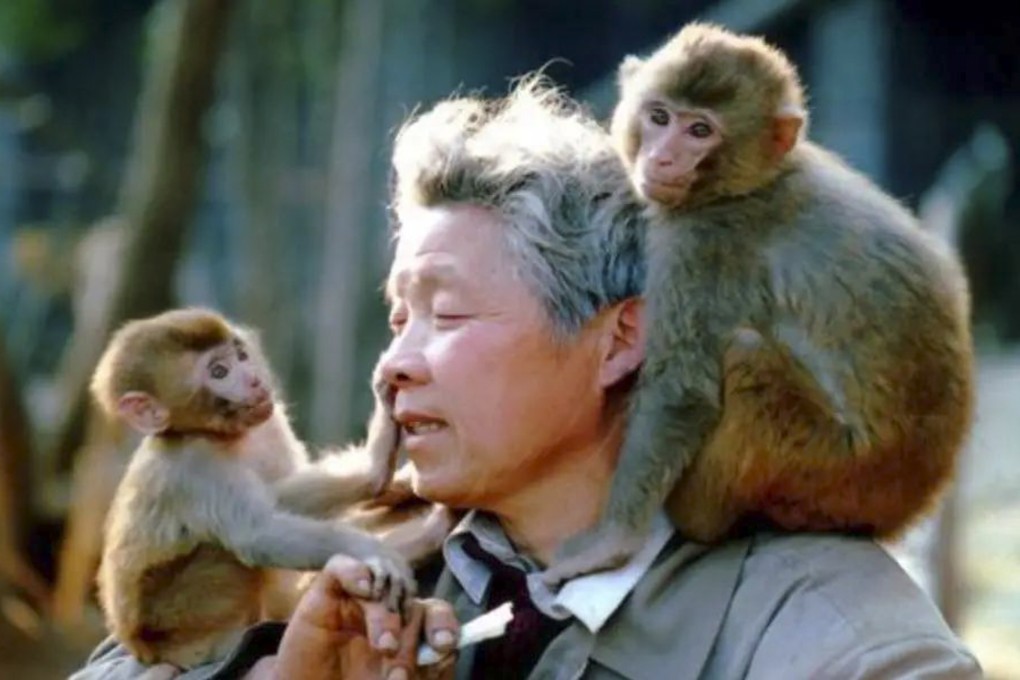 ‘World’s loneliest zoo’: Chinese man saves abandoned animals and gives ...