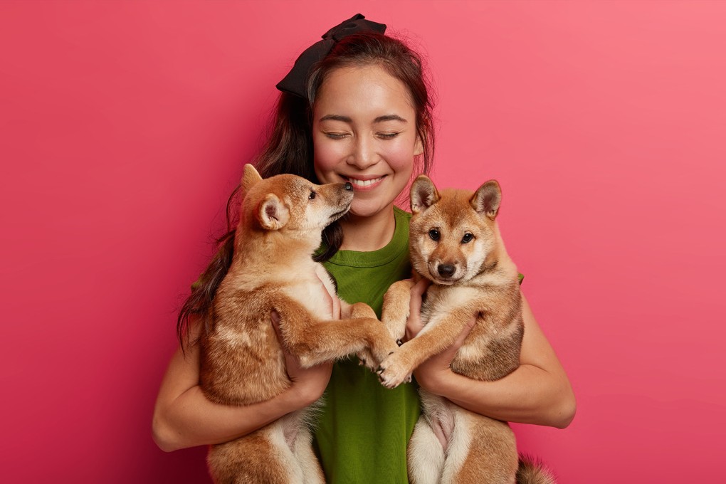 ‘These dogs are angels’: sleep-deprived student who fainted and lost ...