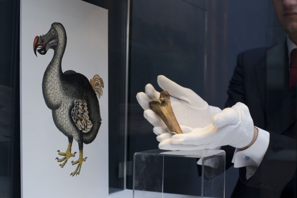 Bring back the dodo? Ambitious plan draws both investors and critics ...