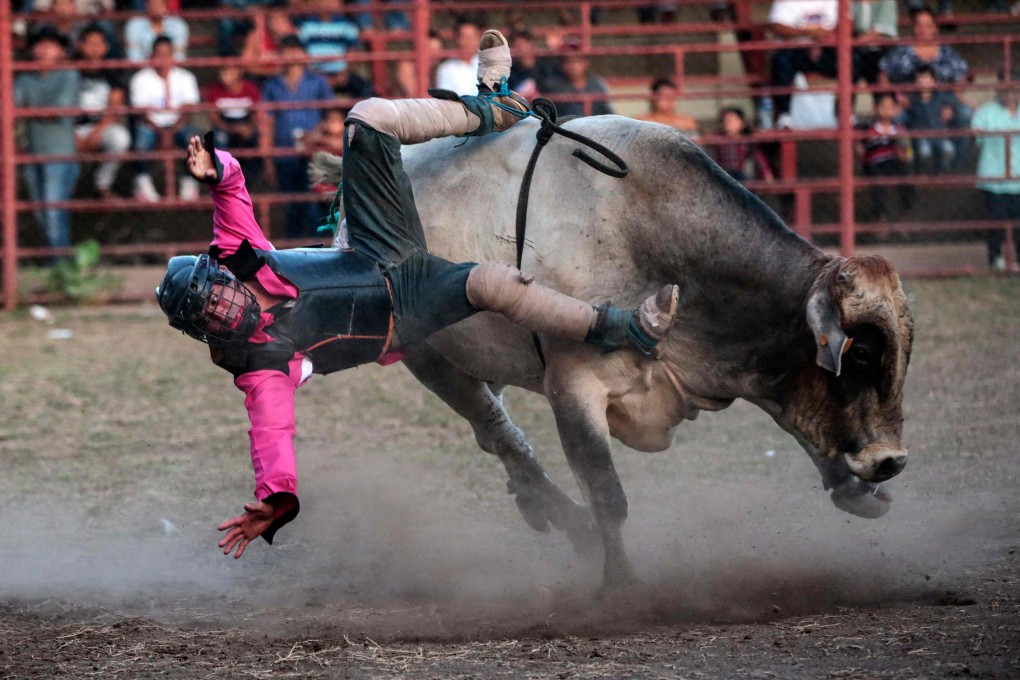 Women rodeo bull riders buck tradition in macho Nicaragua | South China ...