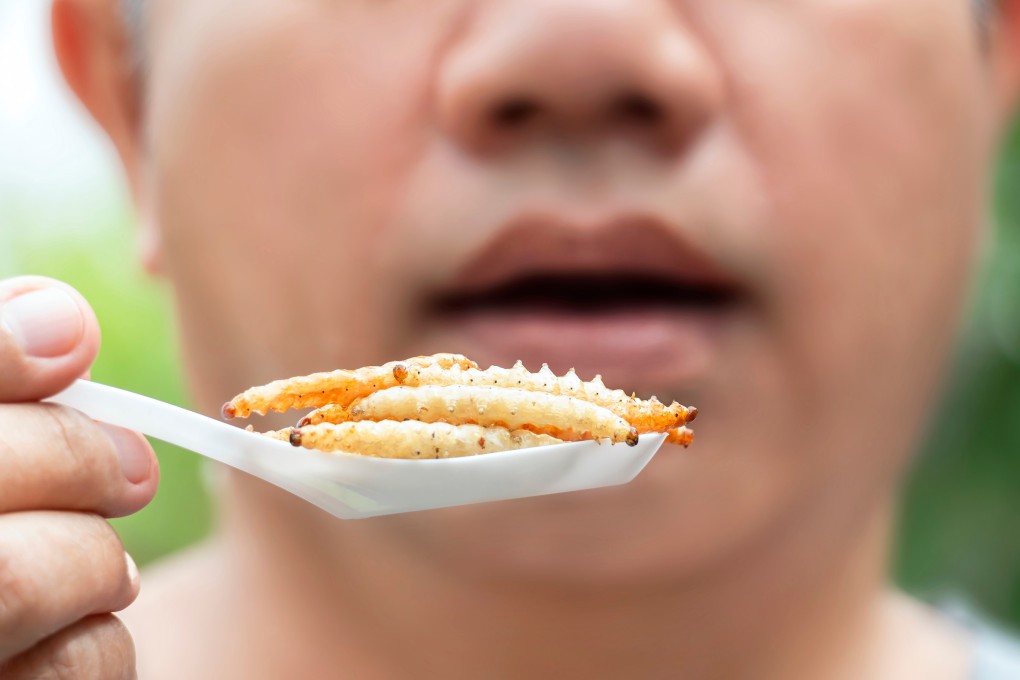 Can of worms: Polish politicians give each other a mouthful over edible ...