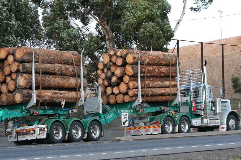 Australian-China timber trade resumes after Beijing sends new rules for ...