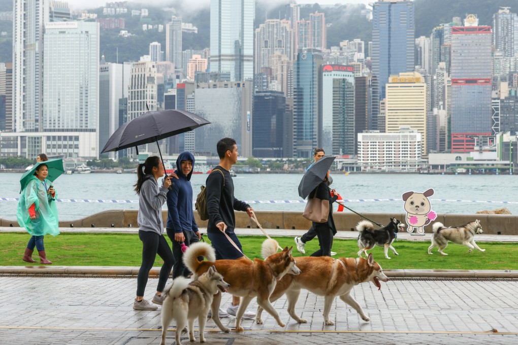 ‘Ridiculous’ narrow passage sparks debate on how much space dogs should ...