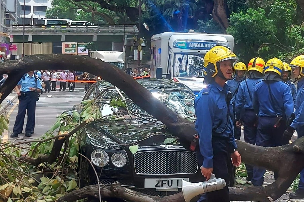 12-metre tree crashes down on luxury Bentley car in Hong Kong shopping ...