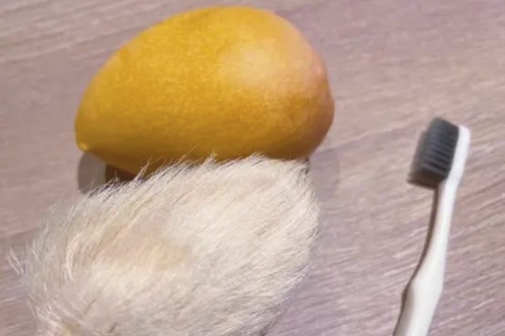 mango seed inside pit