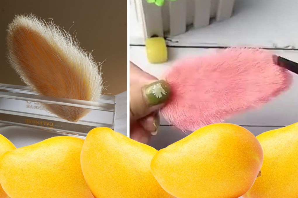 Mango pits as pets: young people in China ‘raise’ hairy seeds like dogs ...
