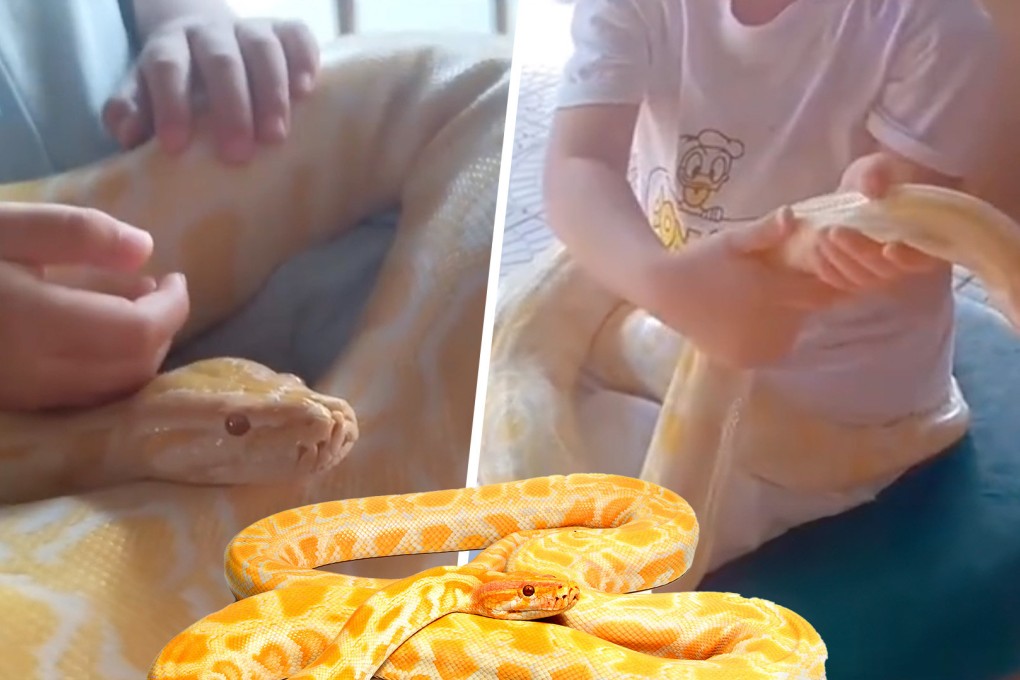 ‘Really harmonious’: father in China defends video of daughter, 4 ...