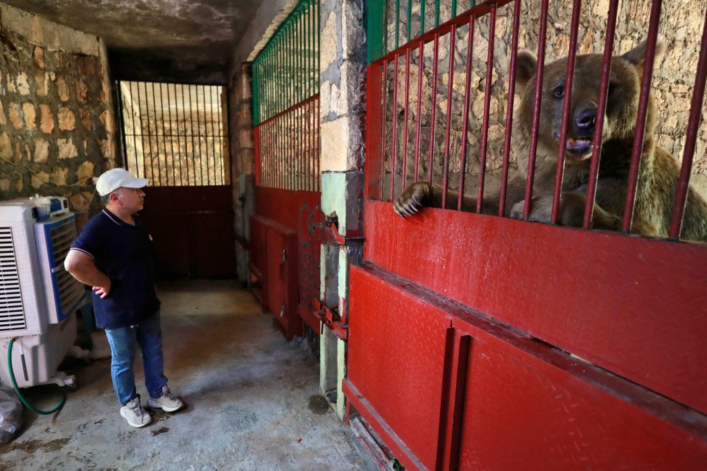 Iraq zoo animals suffer in 50 degree heat, ‘lifespans years shorter ...