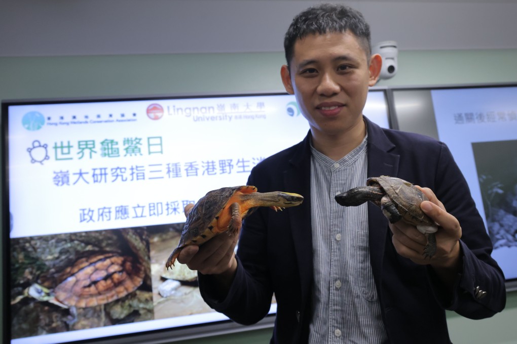 HK turtles need our help | South China Morning Post